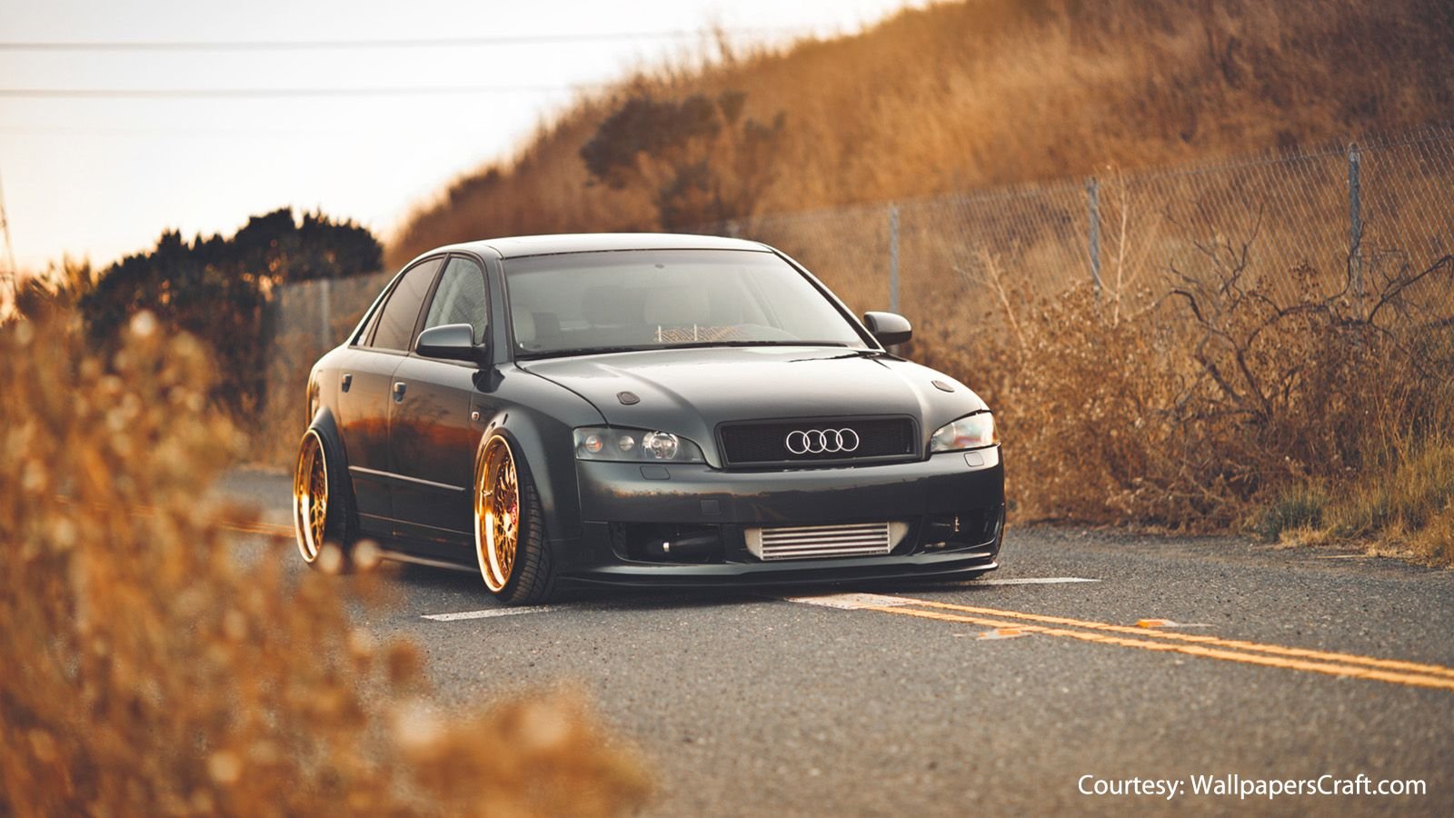 11 Pictures of Audis That Will Get You in the Fall Spirit | Audiworld