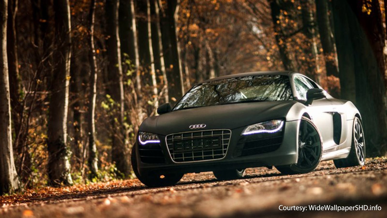 11 Pictures of Audis That Will Get You in the Fall Spirit | Audiworld