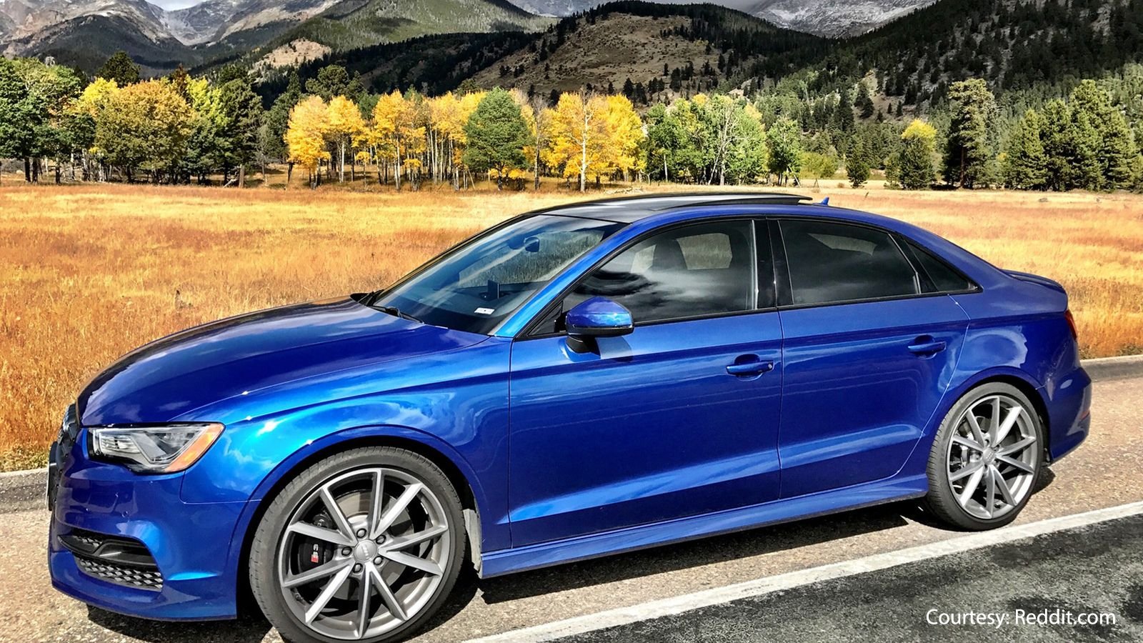 11 Pictures of Audis That Will Get You in the Fall Spirit | Audiworld