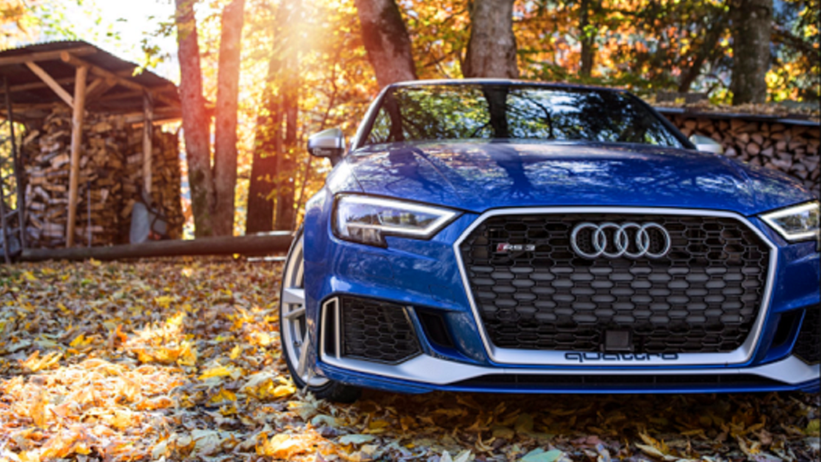 10 Pictures of Audis That Will Get You Into the Fall Spirit | Audiworld