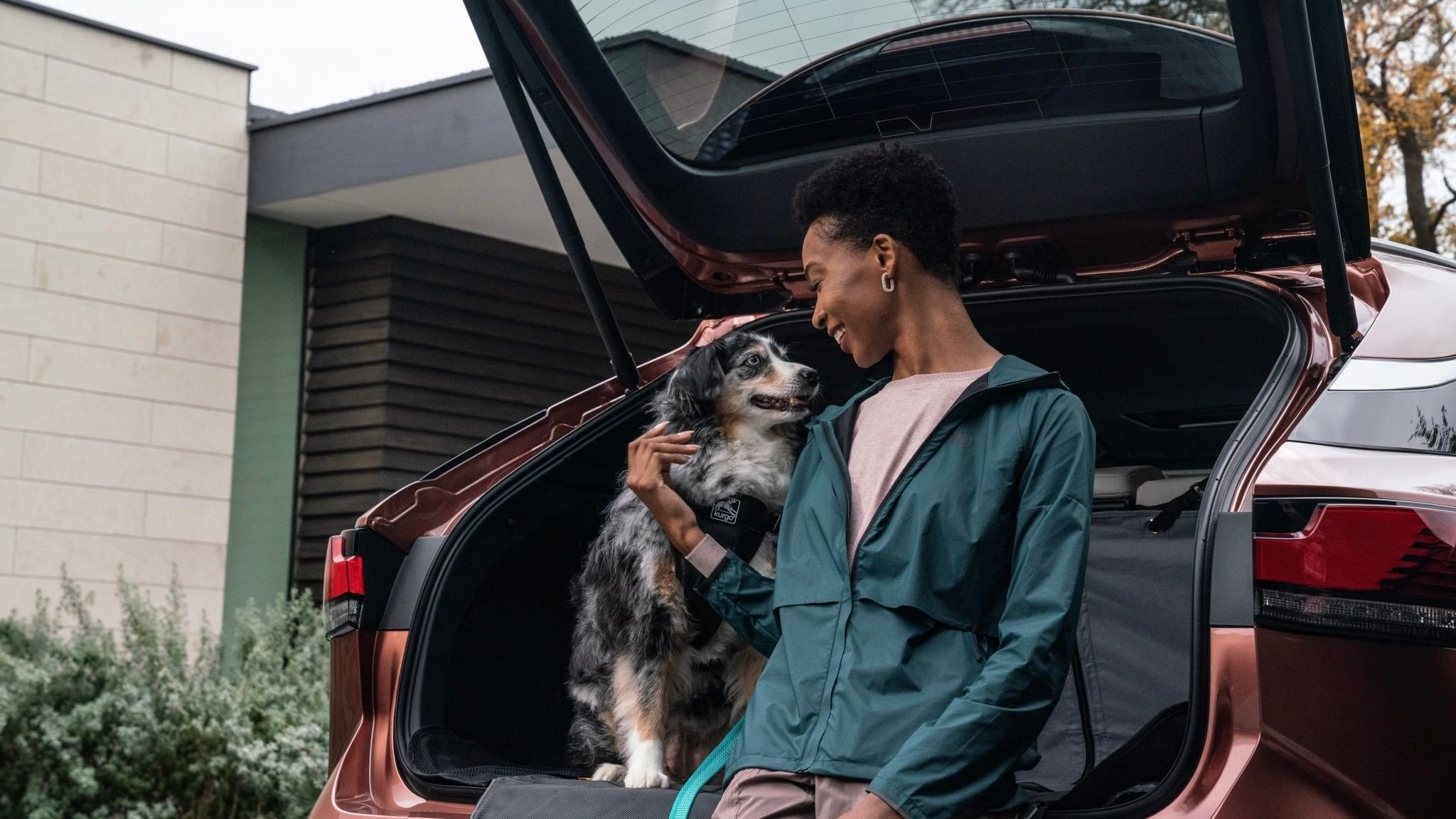 4 Accessories to Make Your Lexus More Pet-Friendly | Clublexus