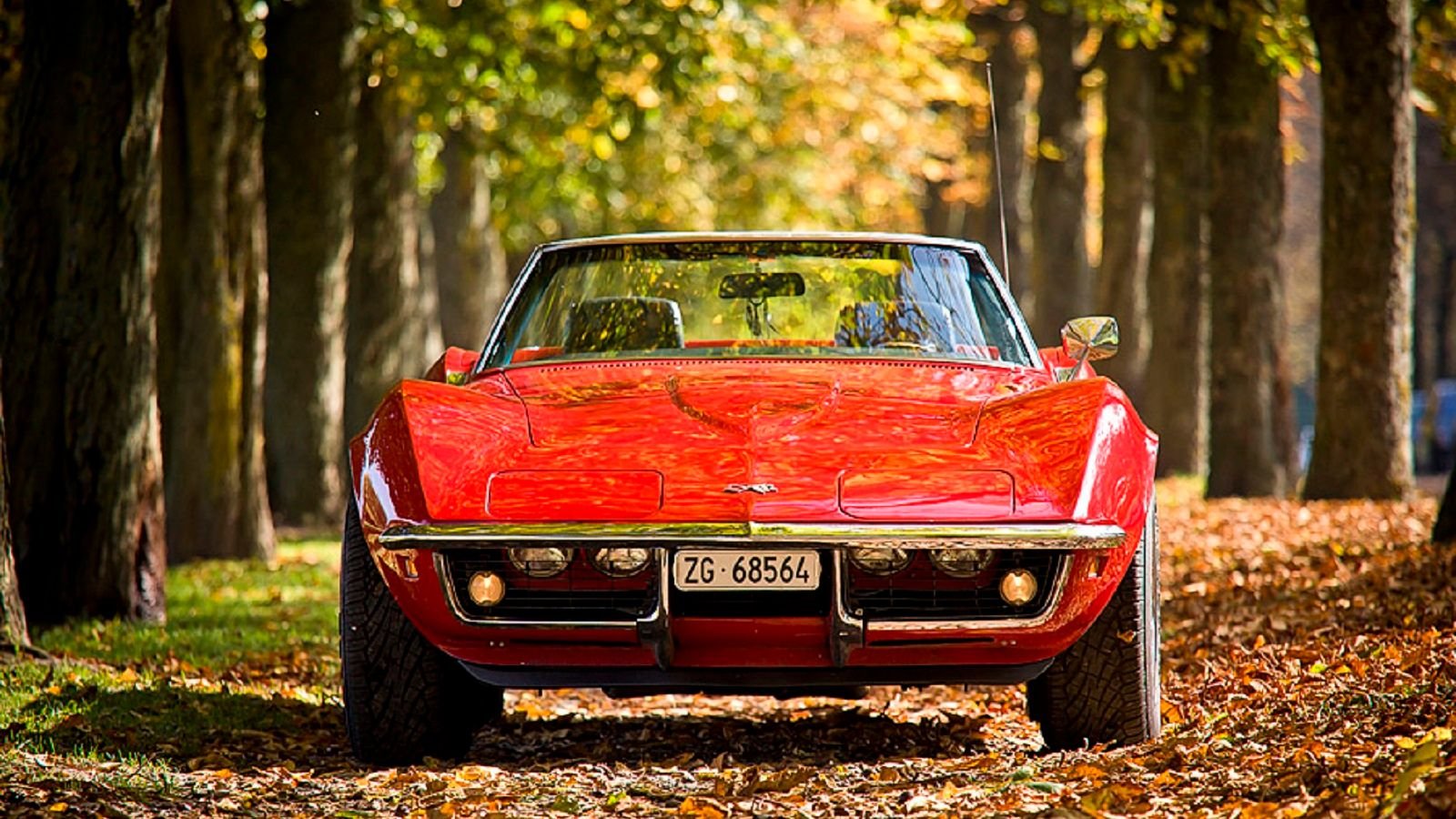 Corvettes Driving Through the Autumn Leaves | Corvetteforum