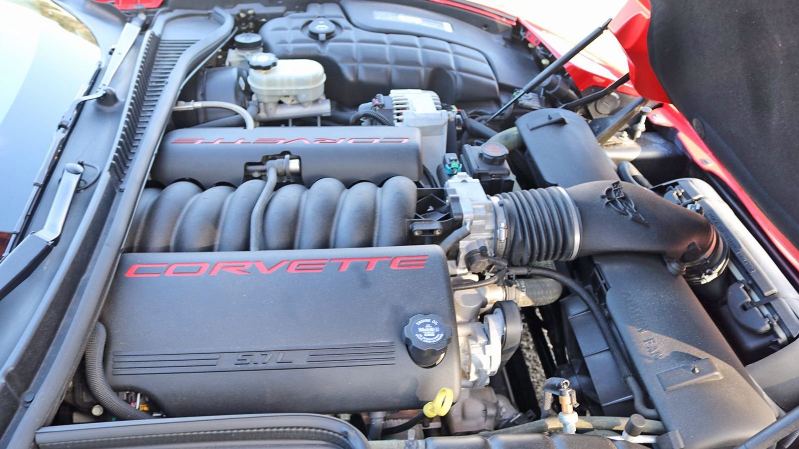 Super Low-Mile C5 Z51 Hits the Auction Block | Corvetteforum