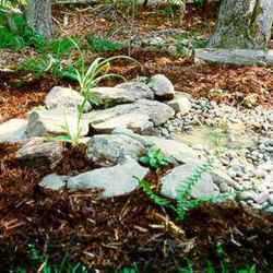 Five Solutions for Keeping Your Garden Puddle-Free - Dave's Garden