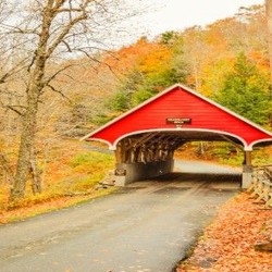 The Best Trees and Shrubs to Plant for Fall Color - Dave's Garden