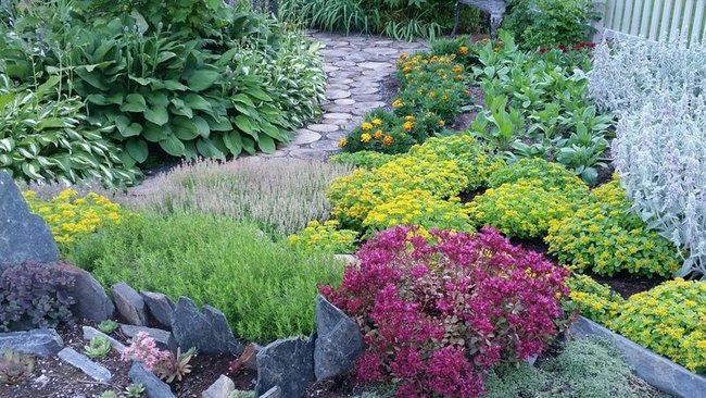 Announcing the Winners of the 2016 Photo Contest - Dave's Garden