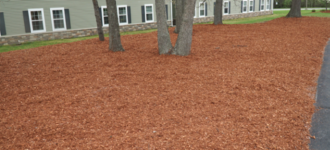 A Guide to Colored Mulch and How to Dye Your Mulch | DoItYourself.com