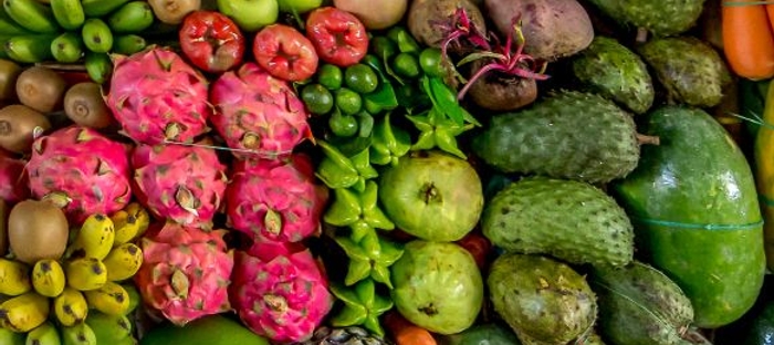 Exotic Melons - Dave's Garden