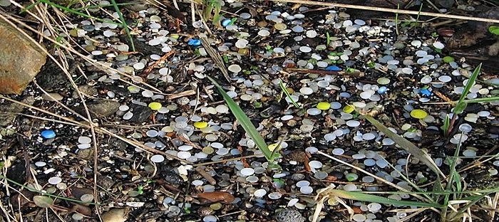 Why You Should Care About Nurdles - Dave's Garden
