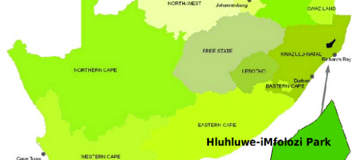 More Wildlife in South Africa - Dave's Garden