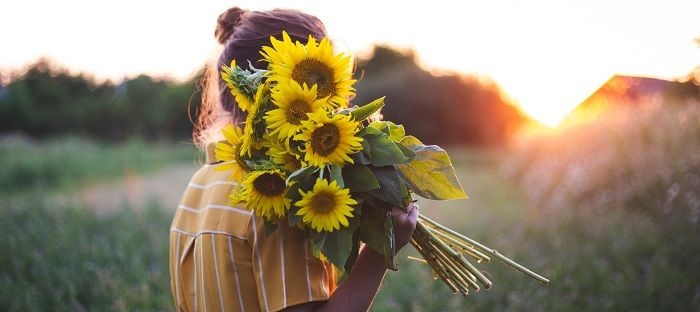 Solved: a mystery that puzzled scientists for centuries.