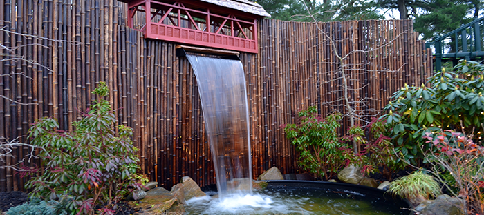 Adding a Waterfall to Your Landscape - Dave's Garden