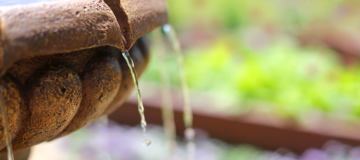 Water Features from Beginner to Advanced - Dave's Garden