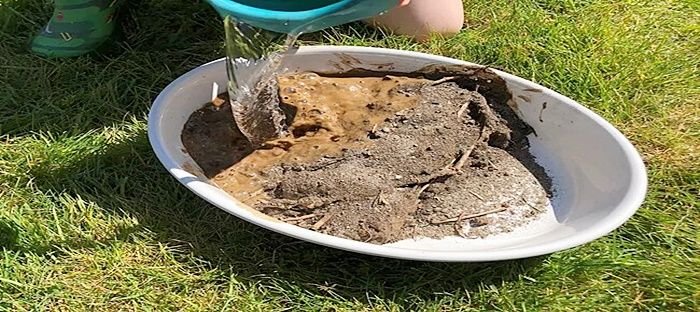 How Beavers Protect Our Rivers - Dave's Garden