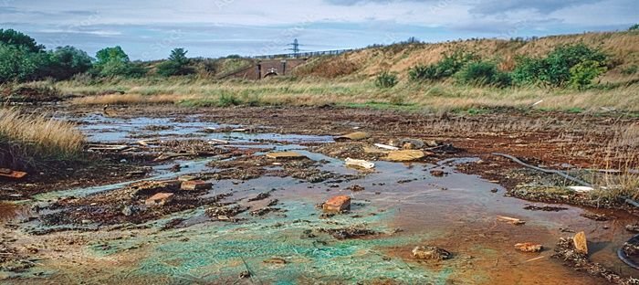 Caring for Plants and Animals Following Toxic Chemical Spills - Dave's ...