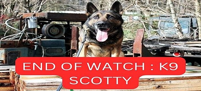 K9 officer killed in the flooding