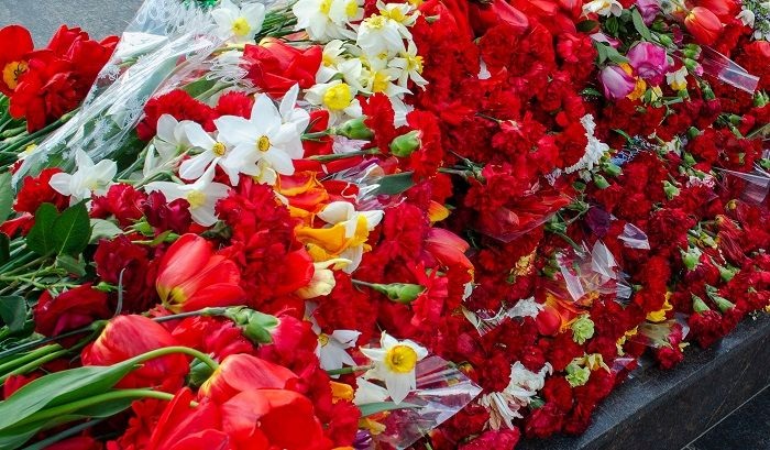 Honoring Queen Elizabeth II with Flowers this Week - Dave's Garden