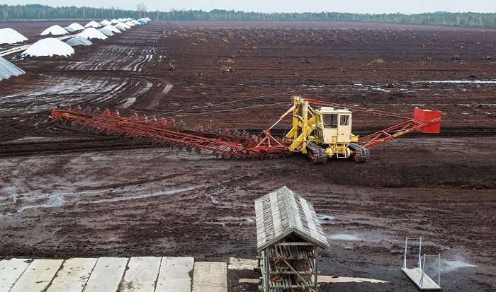Using Peat in the Garden is Harmful to the Environment - Dave's Garden