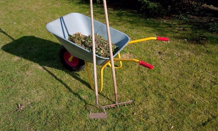 8 Essential Tools to Last a Lifetime - Dave's Garden