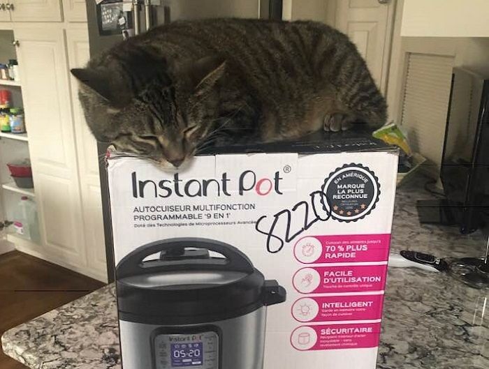 Garden Jokes and Humor: Sunday Funnies 4-7-19 - Dave's Garden