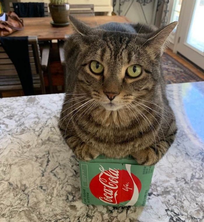 Garden Jokes and Humor: Sunday Funnies 10-06-19 - Dave's Garden