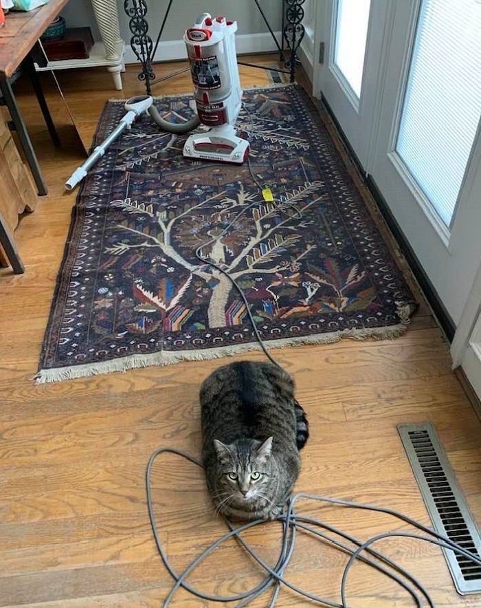 DG Sunday Funnies for 5-29-2022 - Dave's Garden