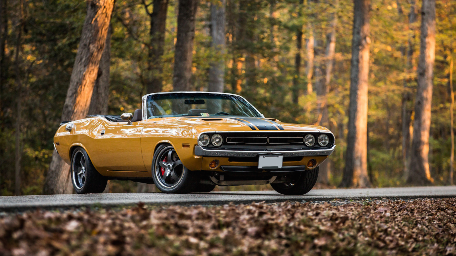 10 Awesome High Impact Color Dodges | Dodgeforum