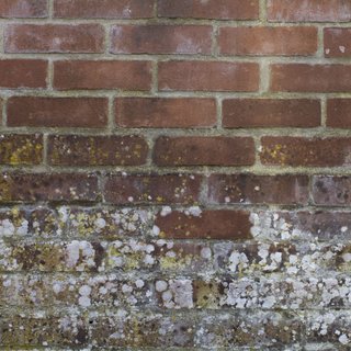 How to Clean Mold Off Brick | DoItYourself.com