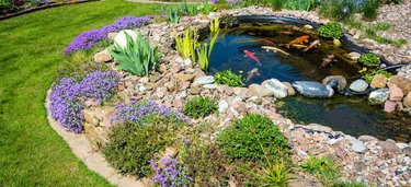 Installing a Pond Pump and Filter | DoItYourself.com