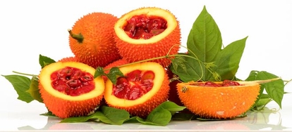 How to Grow Gac - The Secret Super Food | DoItYourself.com