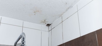How to Remove Bathroom Ceiling Mold | DoItYourself.com