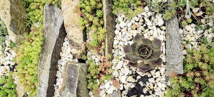 How to Design a Rock Garden | DoItYourself.com