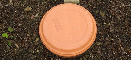 Low-Tech Clay Pot Irrigation | DoItYourself.com
