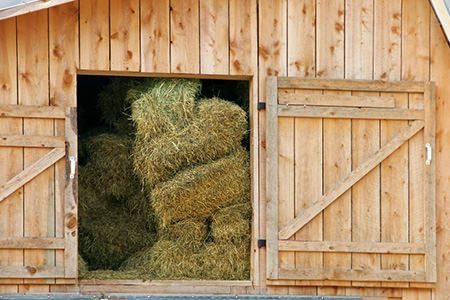 How To Paint Your Barn | DoItYourself.com