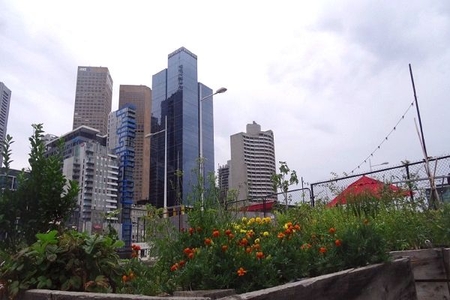 5 Sustainable Living Tips for City Folk | DoItYourself.com