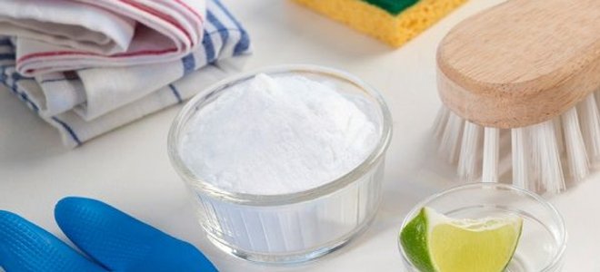 5 Hacks for a Cleaner Home | DoItYourself.com