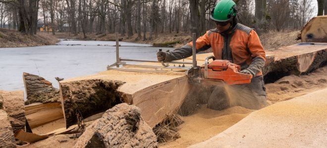 How to Salvage Urban Logs for Carpentry | DoItYourself.com