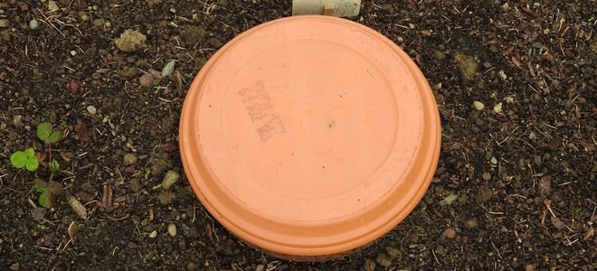 Low-Tech Clay Pot Irrigation | DoItYourself.com