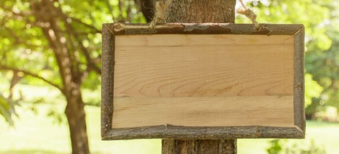 Weatherproof Wooden Signs: 6 Step DIY Guide | DoItYourself.com