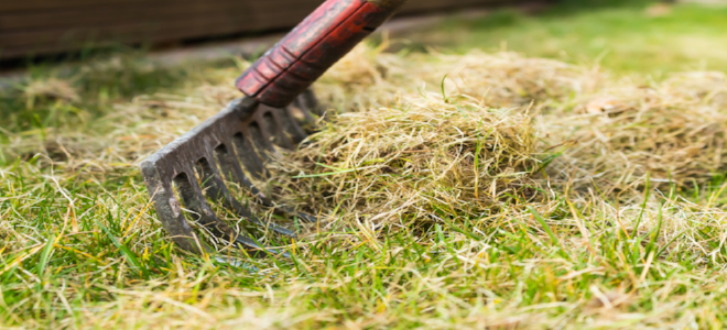 How to Dethatch Your Lawn in the Spring | DoItYourself.com