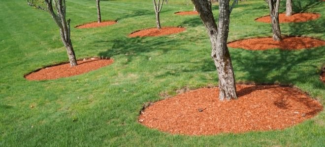 A Guide to Colored Mulch and How to Dye Your Mulch | DoItYourself.com