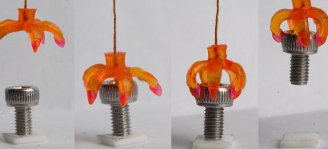 What Is 4D Printing? 10 Examples | DoItYourself.com