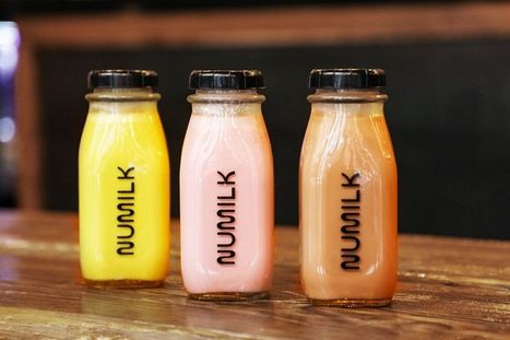 Make Fresh Plant-Based Milk at Home With the NuMilk Machine | Designs ...