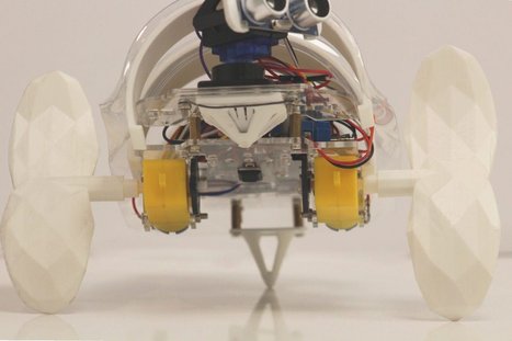 Solar-Powered Autonomous Robot Roams the Desert Planting Seeds ...