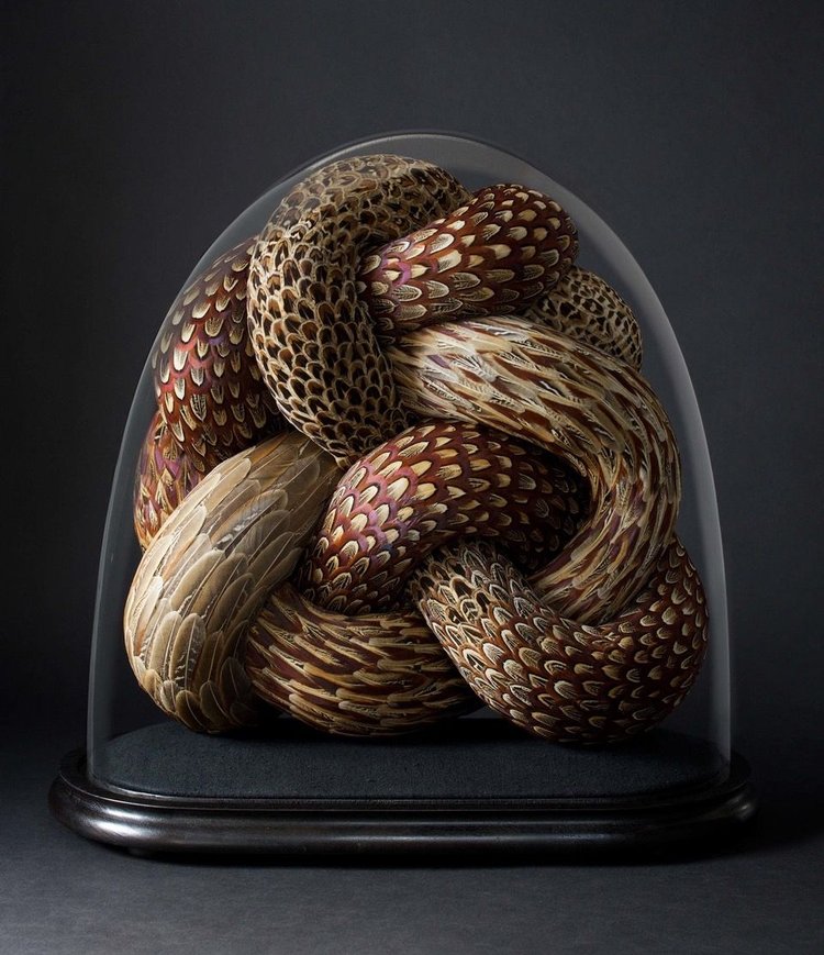 Kate MccGwire’s Undulating Feather-Clad Sculptures are Eerily Lifelike ...