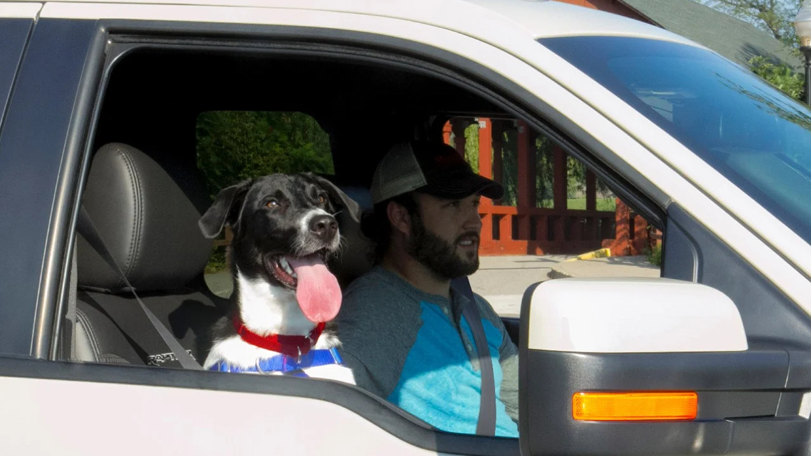 Enjoy Photos of Dogs Hanging With Their Favorite Ford Trucks | Ford-trucks