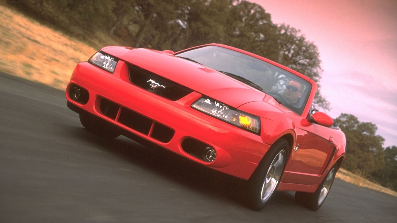 6 Coolest High-Performance Ford SVT Vehicles Ever Built | Ford-trucks