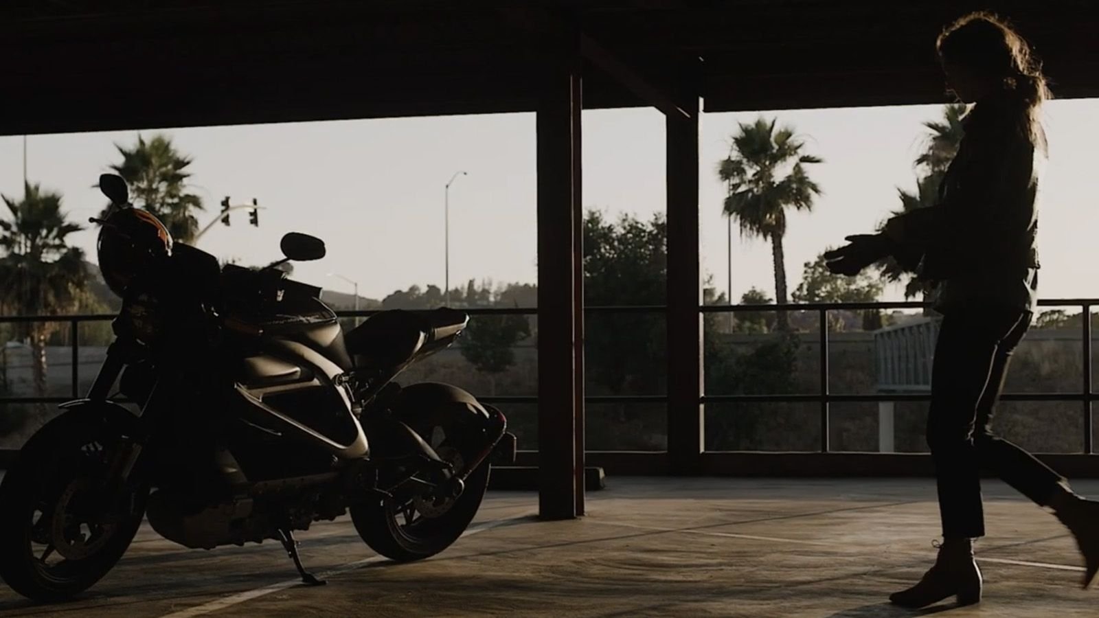 United We Will Ride' Celebrates Adventure and Freedom | Hdforums