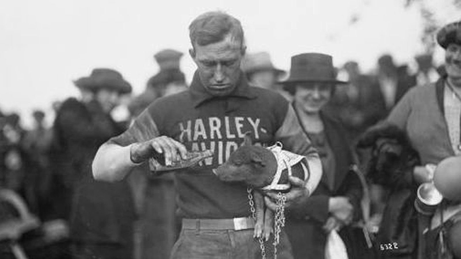 Harley-Davidson's Roughneck 'Hog Boys' | Hdforums