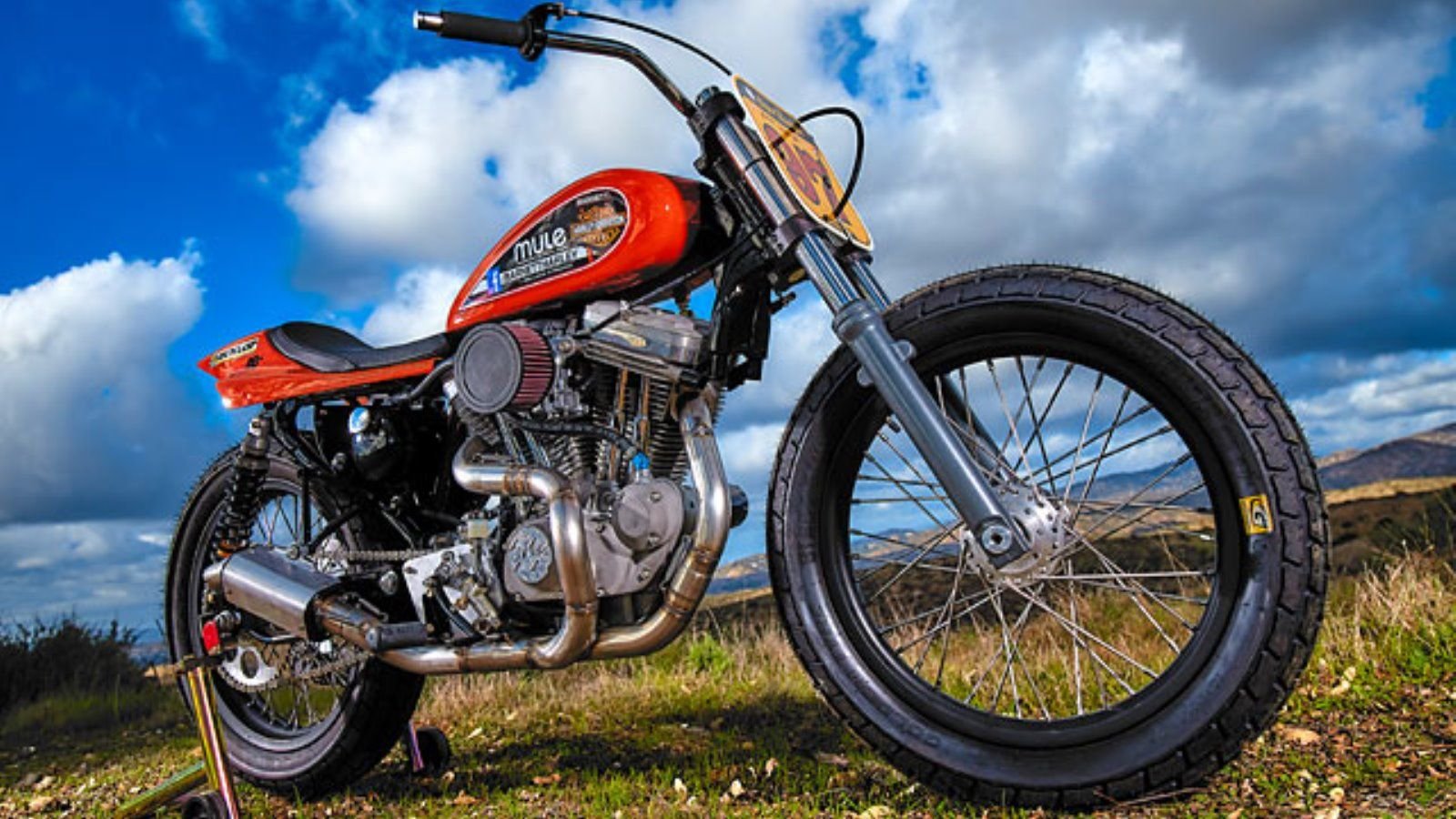 Daily Slideshow: Mule Motorcycles Track-Only Harley | Hdforums